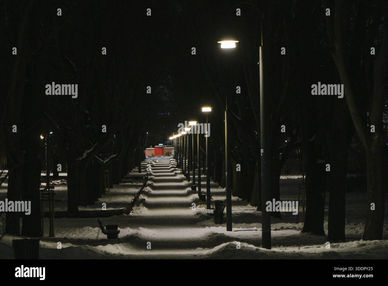 Street lights are seen in the Park Praski in Warsaw, Poland on 03 ...