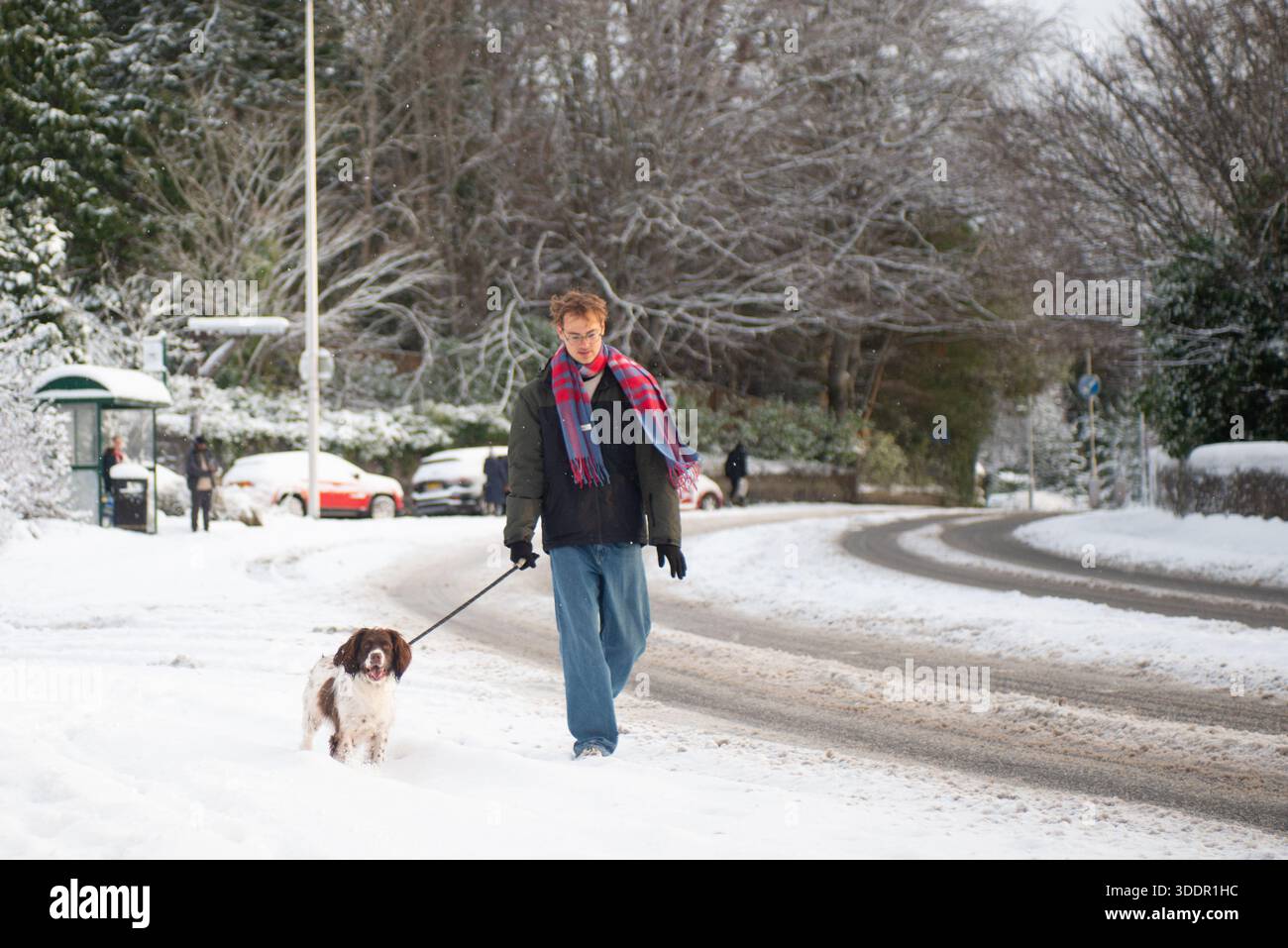 Dog Walker in Cults Aberdeem after Very heavy snowfall Credit Paul ...