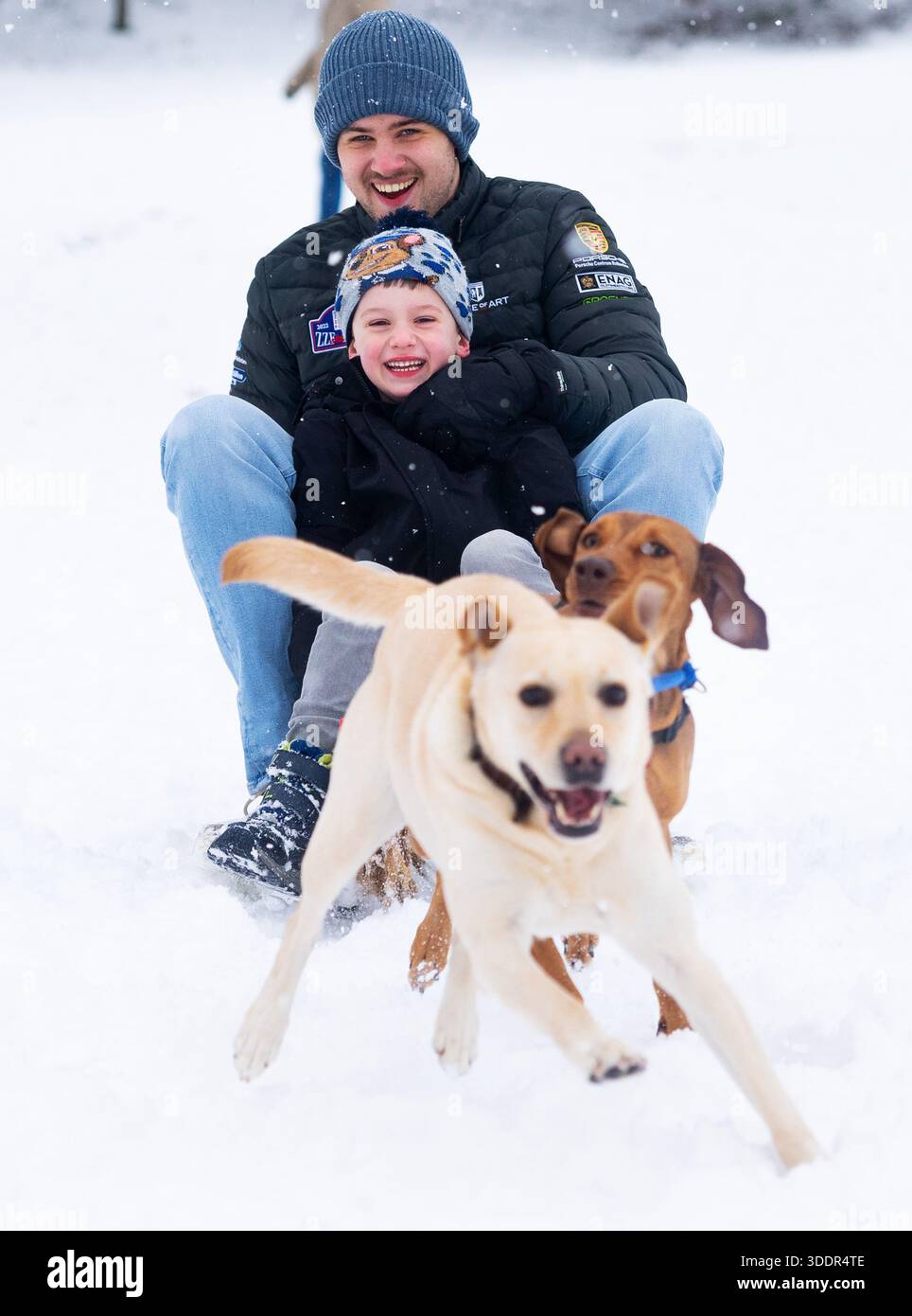 LOON OP ZAND - Snow fun in the Loonse en Drunense Dunes National Park ...