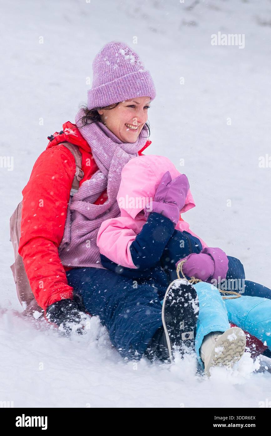 LOON OP ZAND - Snow fun in the Loonse en Drunense Dunes National Park ...