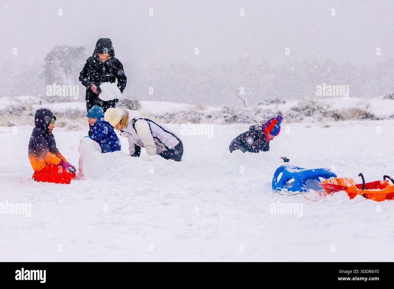LOON OP ZAND - Snow fun in the Loonse en Drunense Dunes National Park ...