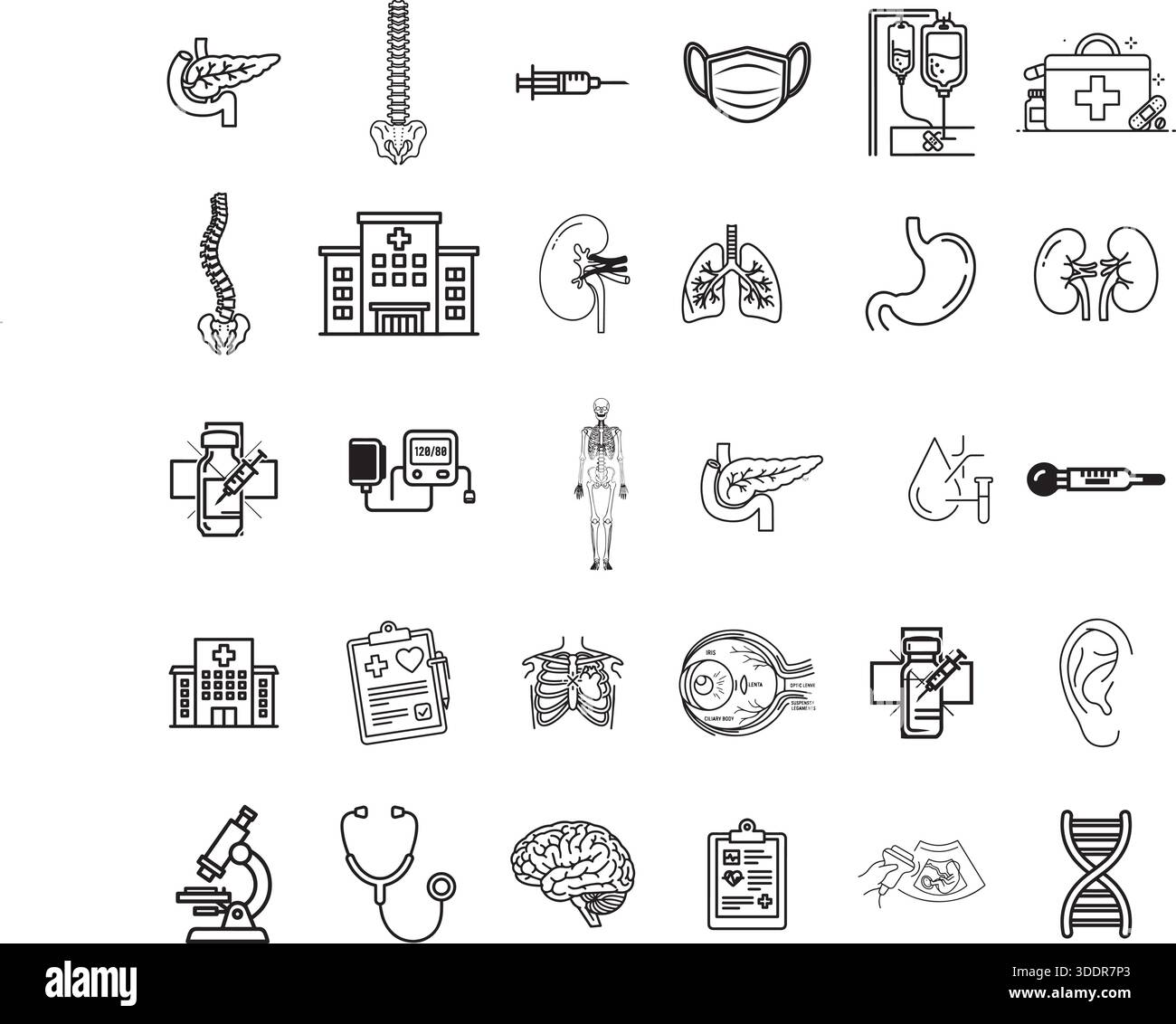 Wellness equipment Black and White Stock Photos & Images - Alamy