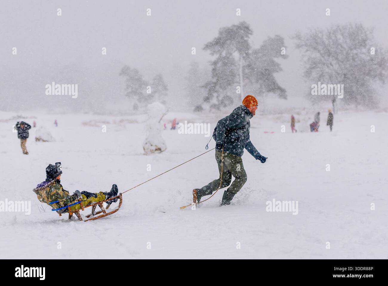 LOON OP ZAND - Snow fun in the Loonse en Drunense Dunes National Park ...