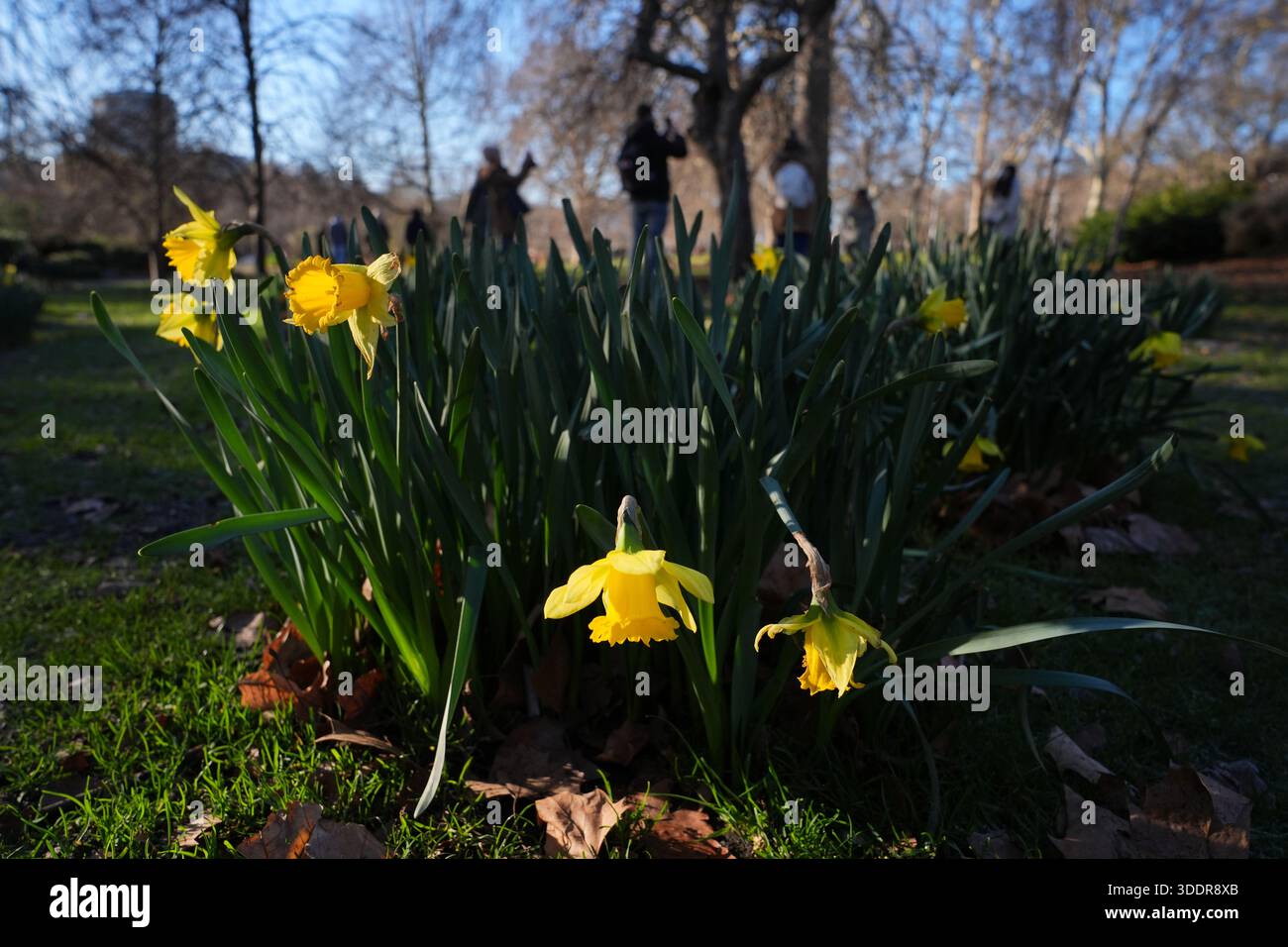 London uk january 2026 cold hi-res stock photography and images - Alamy