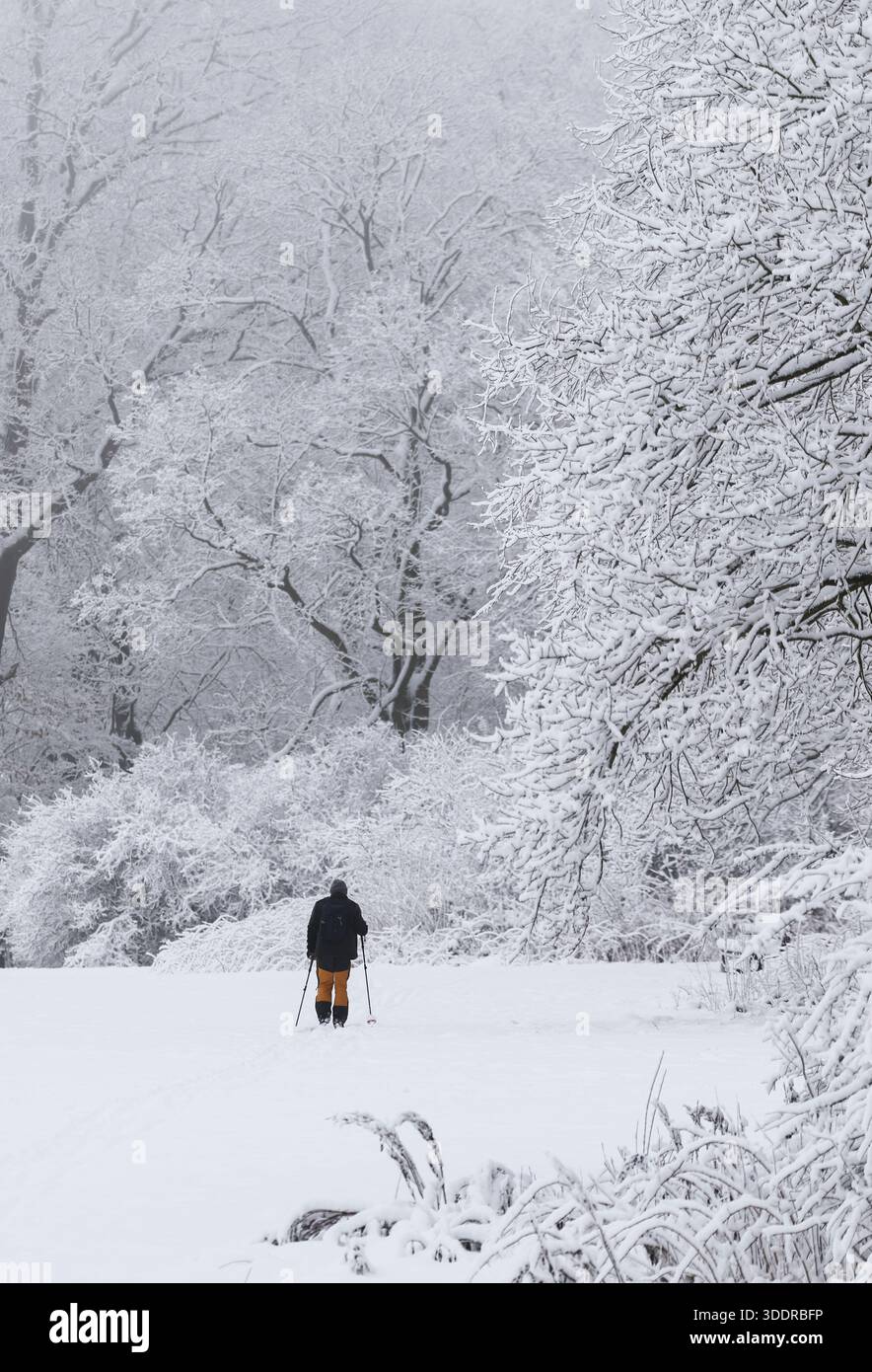 03 January 2026, Hamburg: A man is cross-country skiing in the snow ...