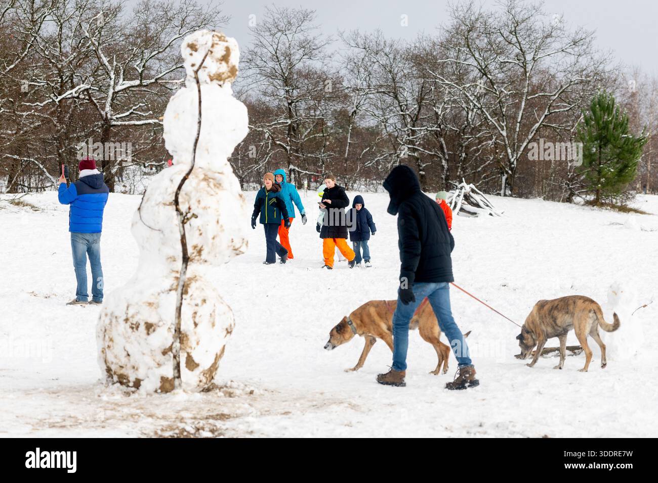 LOON OP ZAND - Snow fun in the Loonse en Drunense Dunes National Park ...