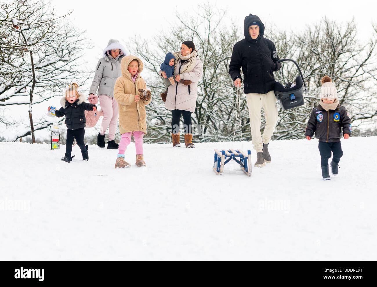 LOON OP ZAND - Snow fun in the Loonse en Drunense Dunes National Park ...