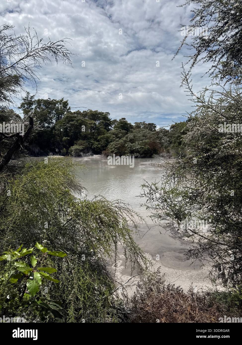 The largest mud pool in NZ, originally the site of a large mud volcano ...