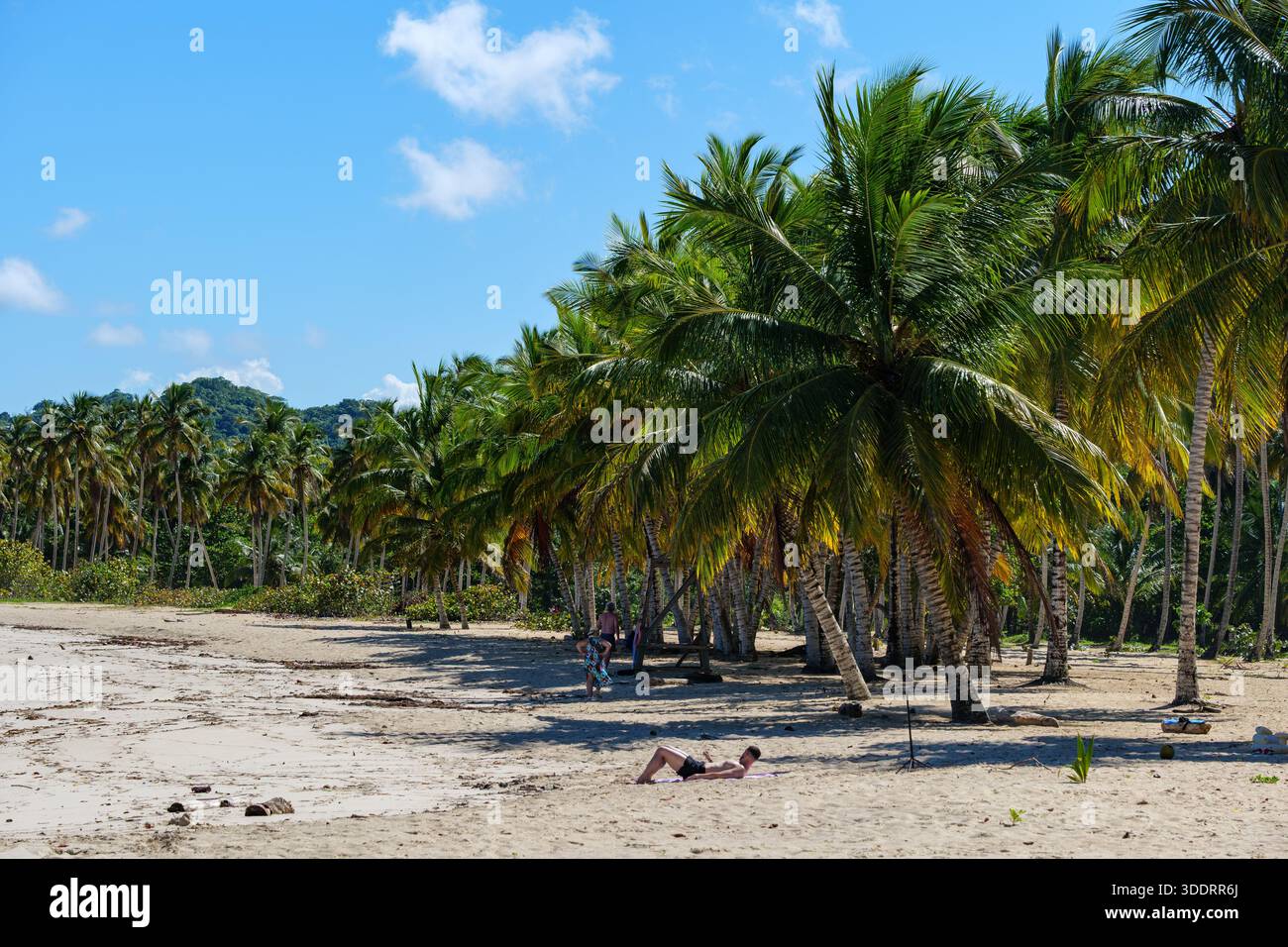 Paradise landscape of Playa Rincón , Dominican Republic, Samana Stock ...