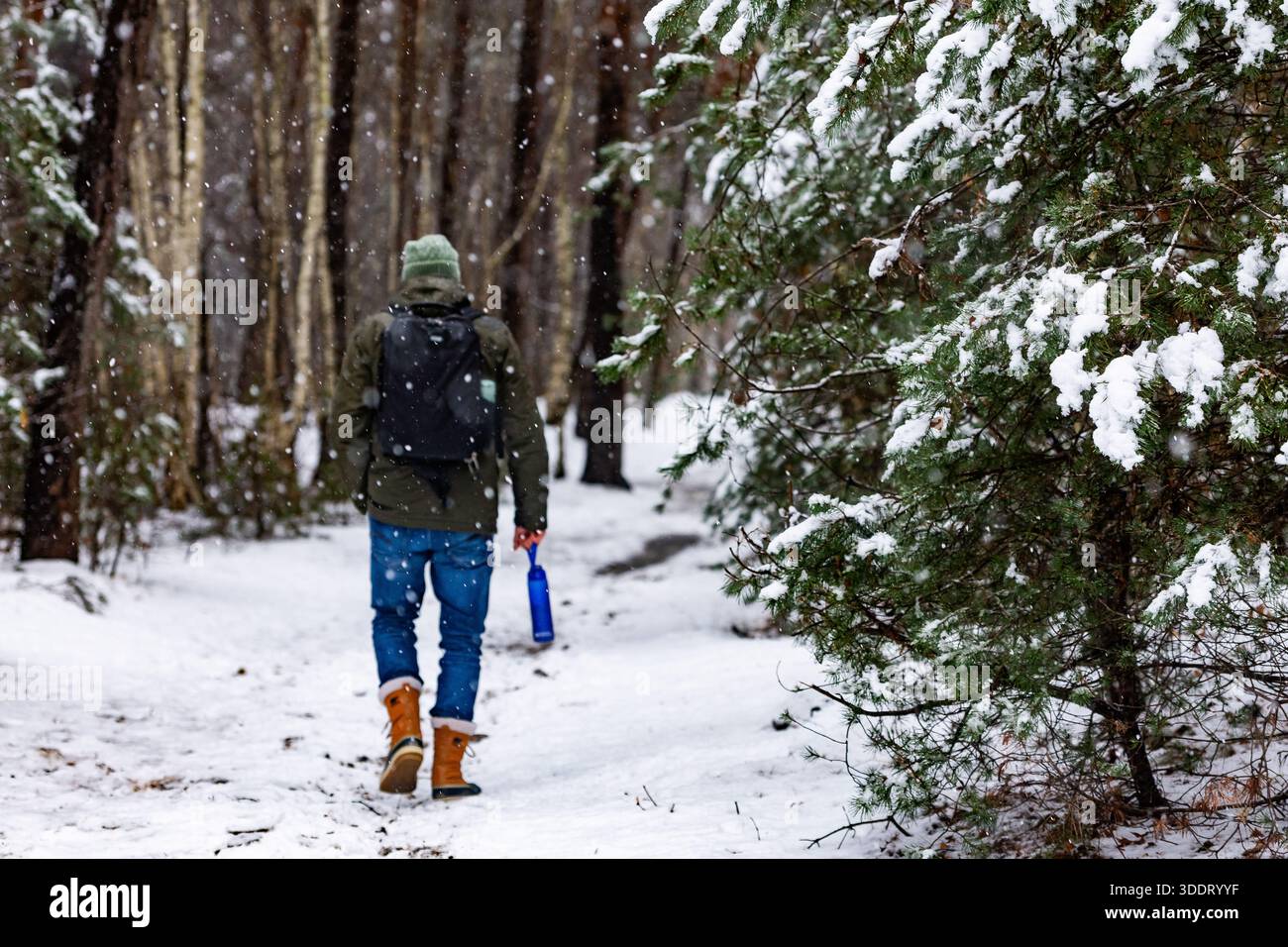 LOON OP ZAND - Snow fun in the Loonse en Drunense Dunes National Park ...