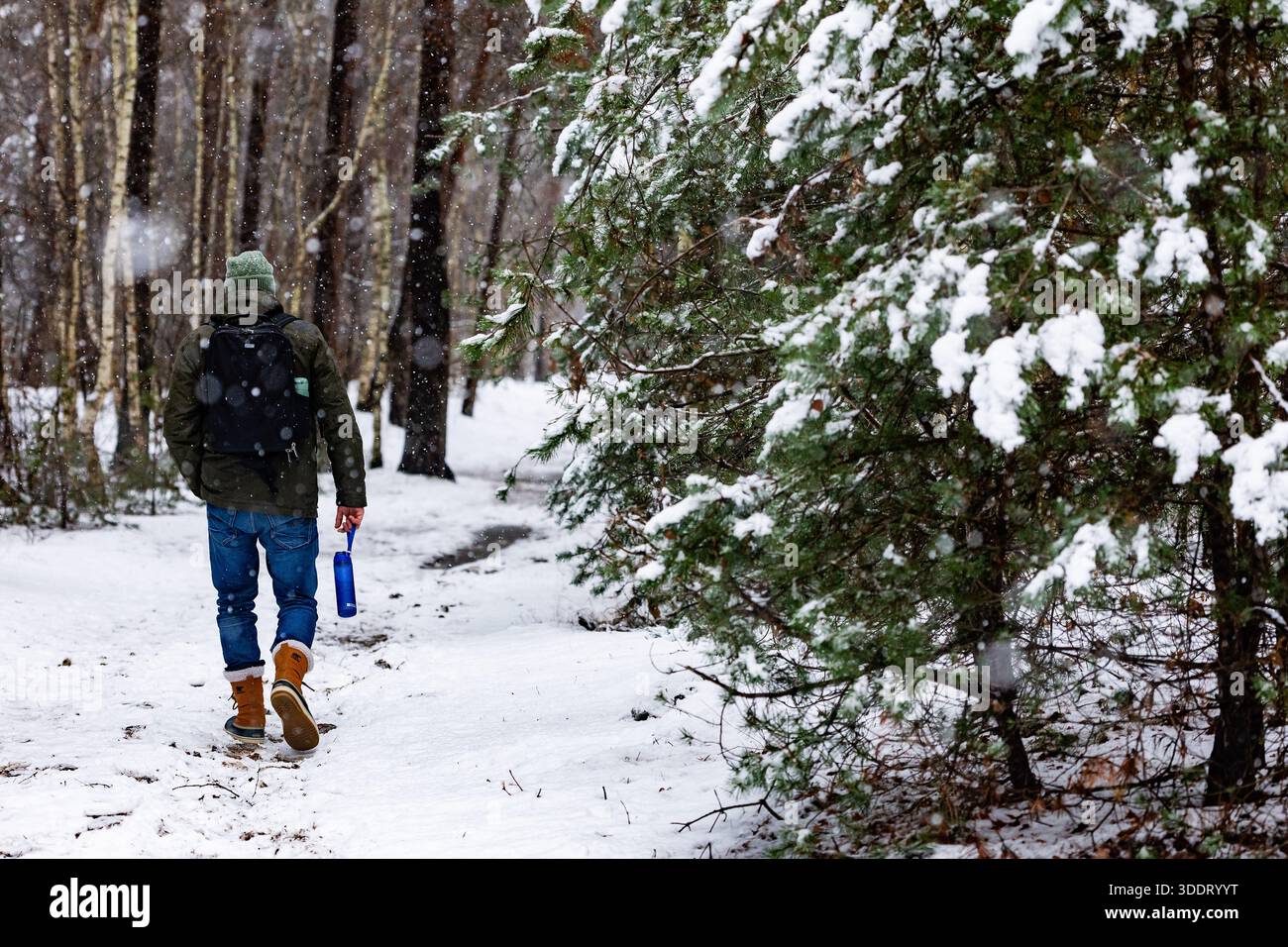 LOON OP ZAND - Snow fun in the Loonse en Drunense Dunes National Park ...