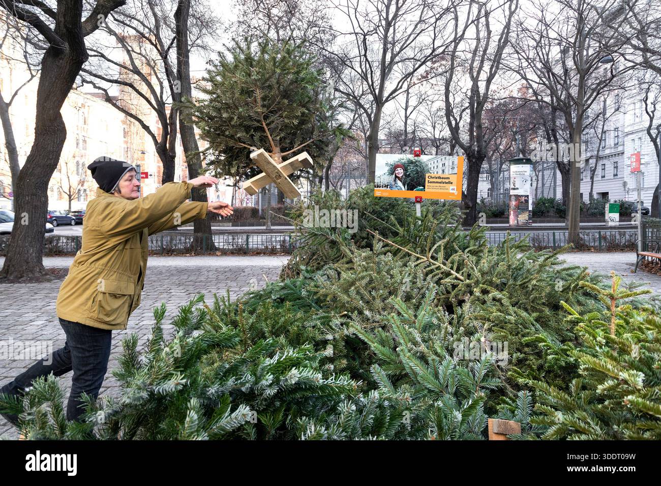 Christbaumsammelstelle, Wien, Österreich // Christmas tree collection ...