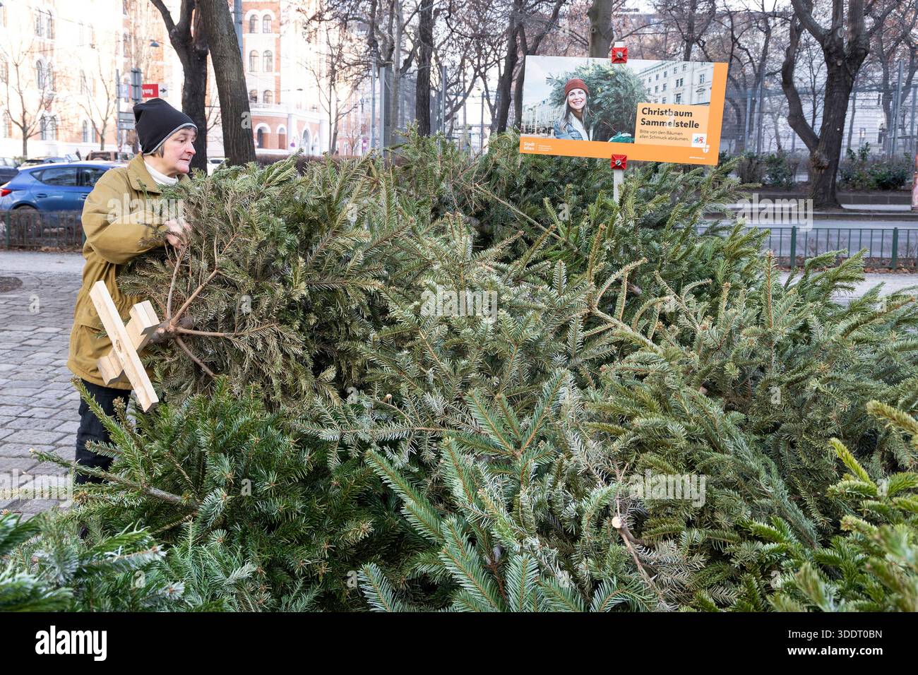 Christbaumsammelstelle, Wien, Österreich // Christmas tree collection ...