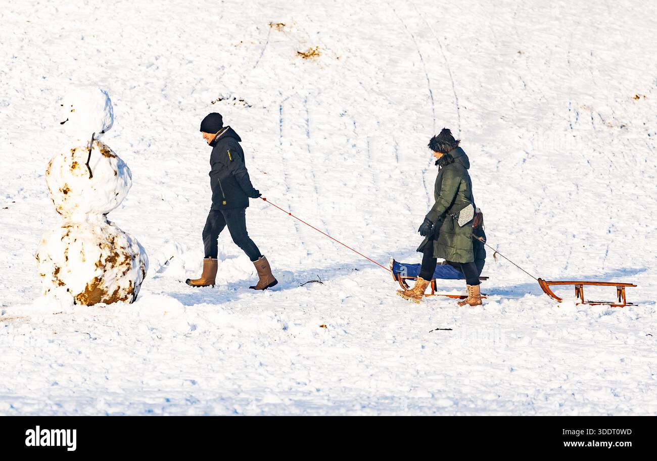 LOON OP ZAND - Snow fun in the Loonse en Drunense Dunes National Park ...