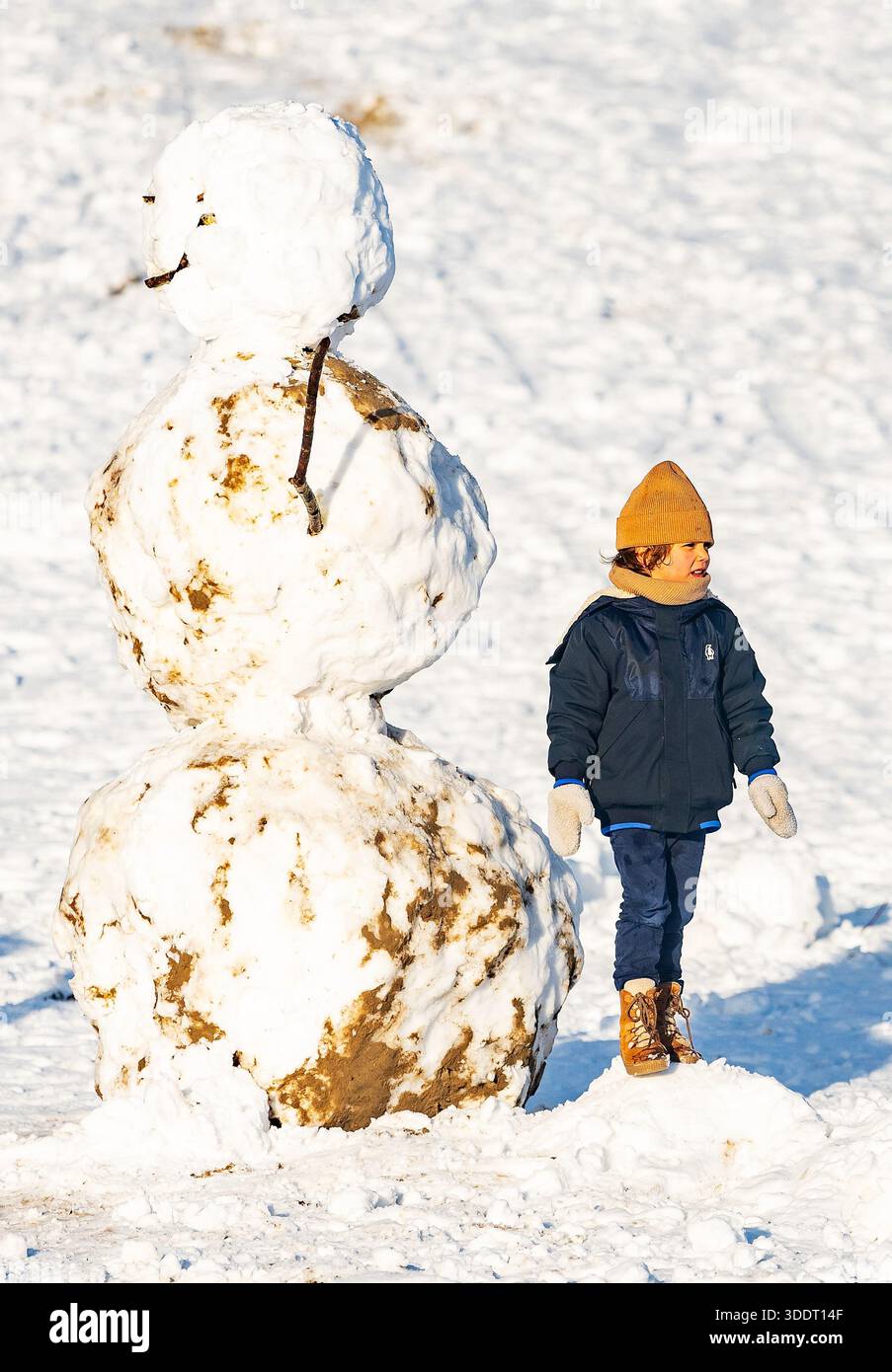 LOON OP ZAND - Snow fun in the Loonse en Drunense Dunes National Park ...
