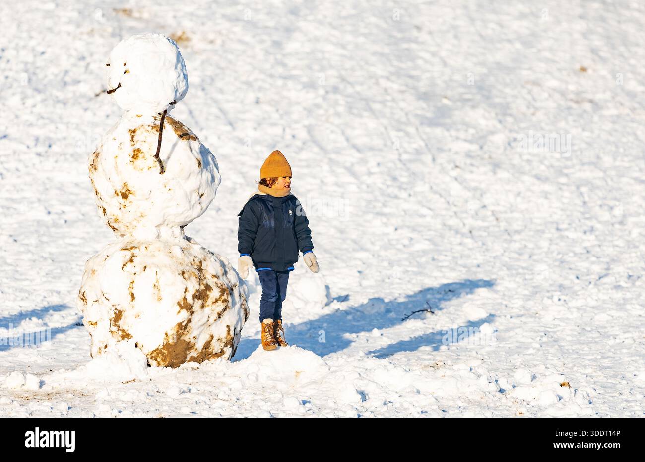 LOON OP ZAND - Snow fun in the Loonse en Drunense Dunes National Park ...