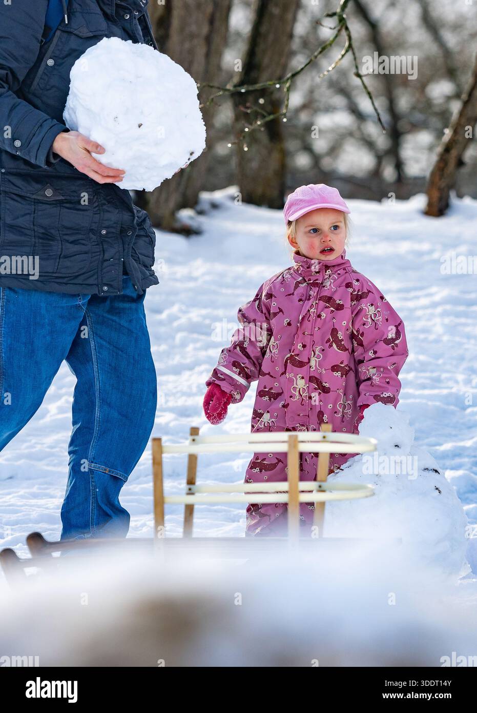 LOON OP ZAND - Snow fun in the Loonse en Drunense Dunes National Park ...