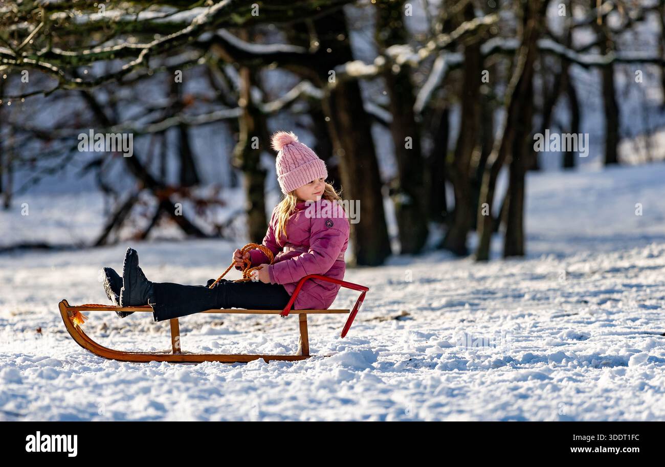 LOON OP ZAND - Snow fun in the Loonse en Drunense Dunes National Park ...