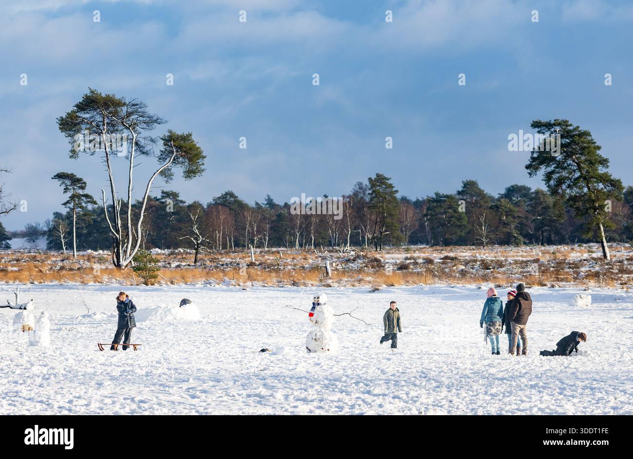 LOON OP ZAND - Snow fun in the Loonse en Drunense Dunes National Park ...