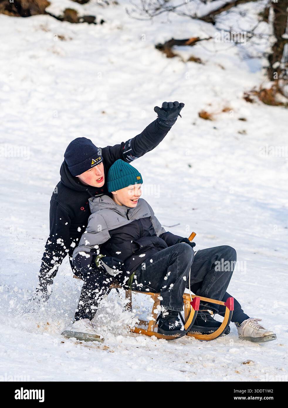 LOON OP ZAND - Snow fun in the Loonse en Drunense Dunes National Park ...