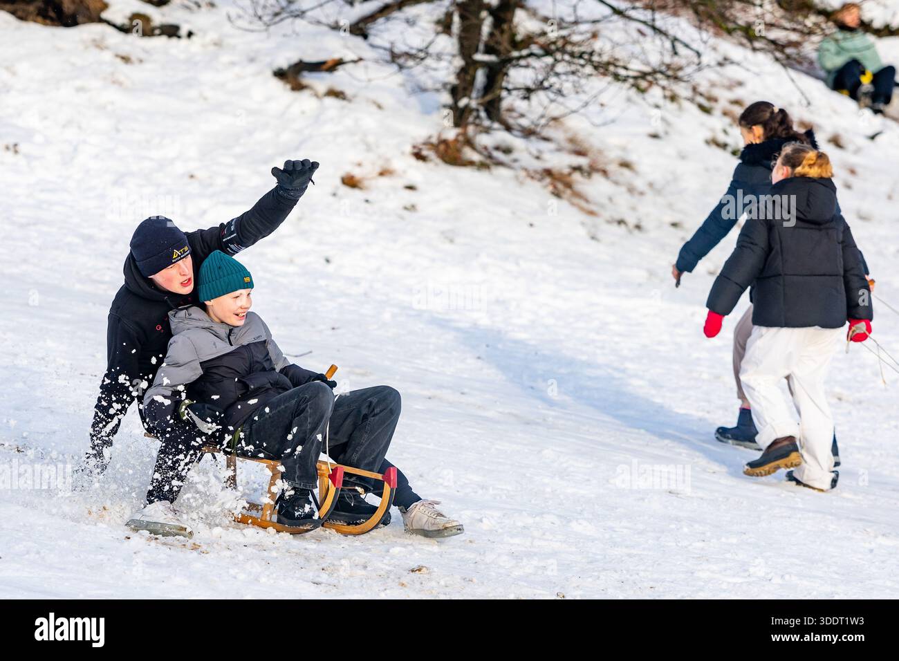 Bossen slee hi-res stock photography and images - Alamy