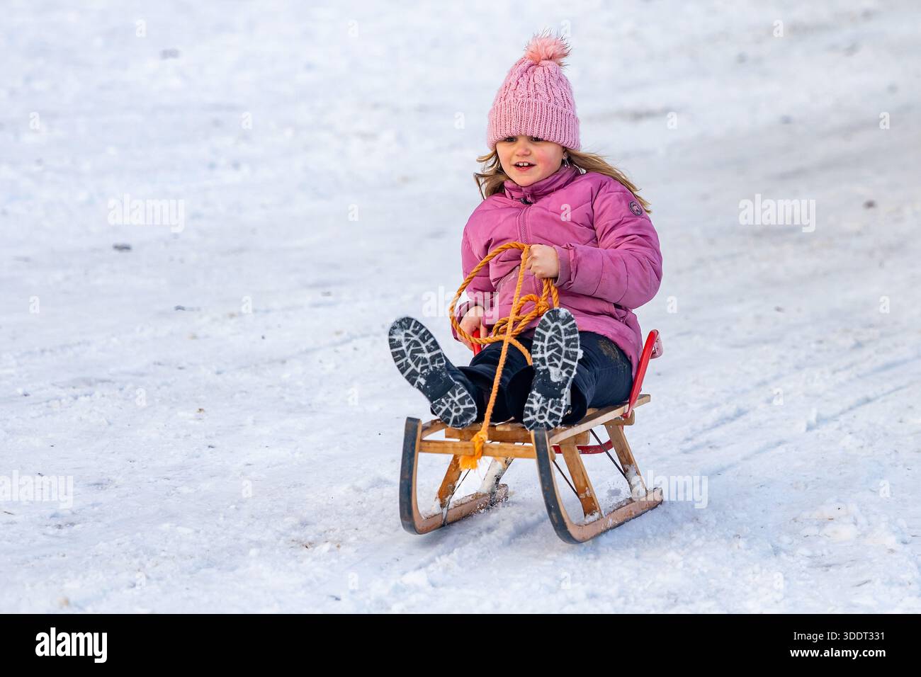 LOON OP ZAND - Snow fun in the Loonse en Drunense Dunes National Park ...