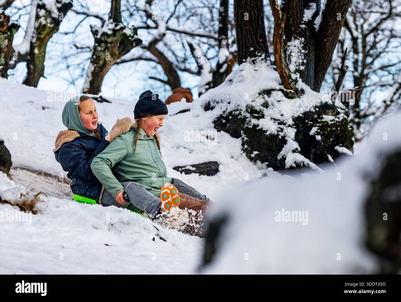 LOON OP ZAND - Snow fun in the Loonse en Drunense Dunes National Park ...