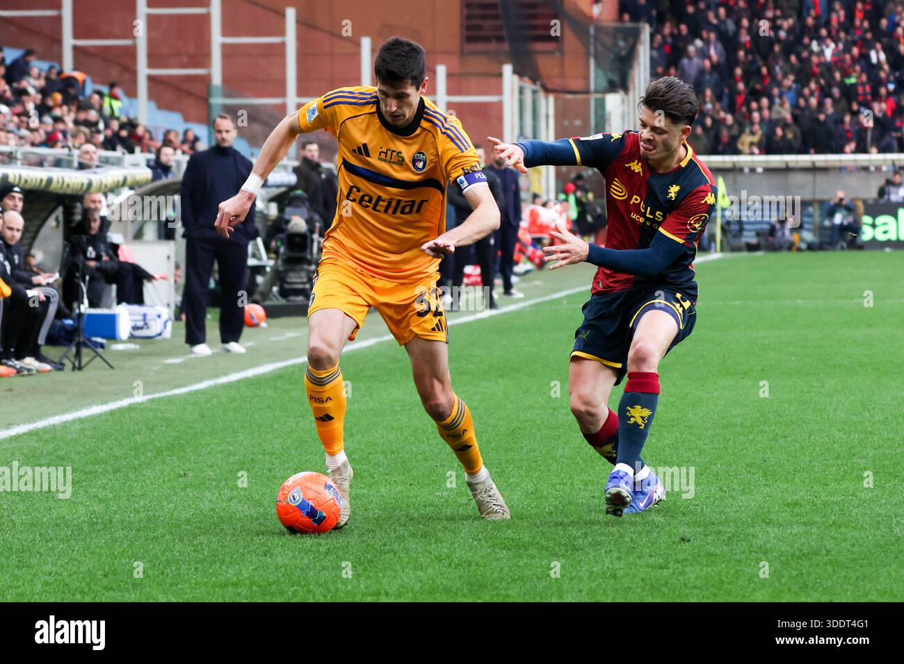 Serie A, Day 18, Stadio Ferraris, Genova, Genoa - Pisa, in the photo ...