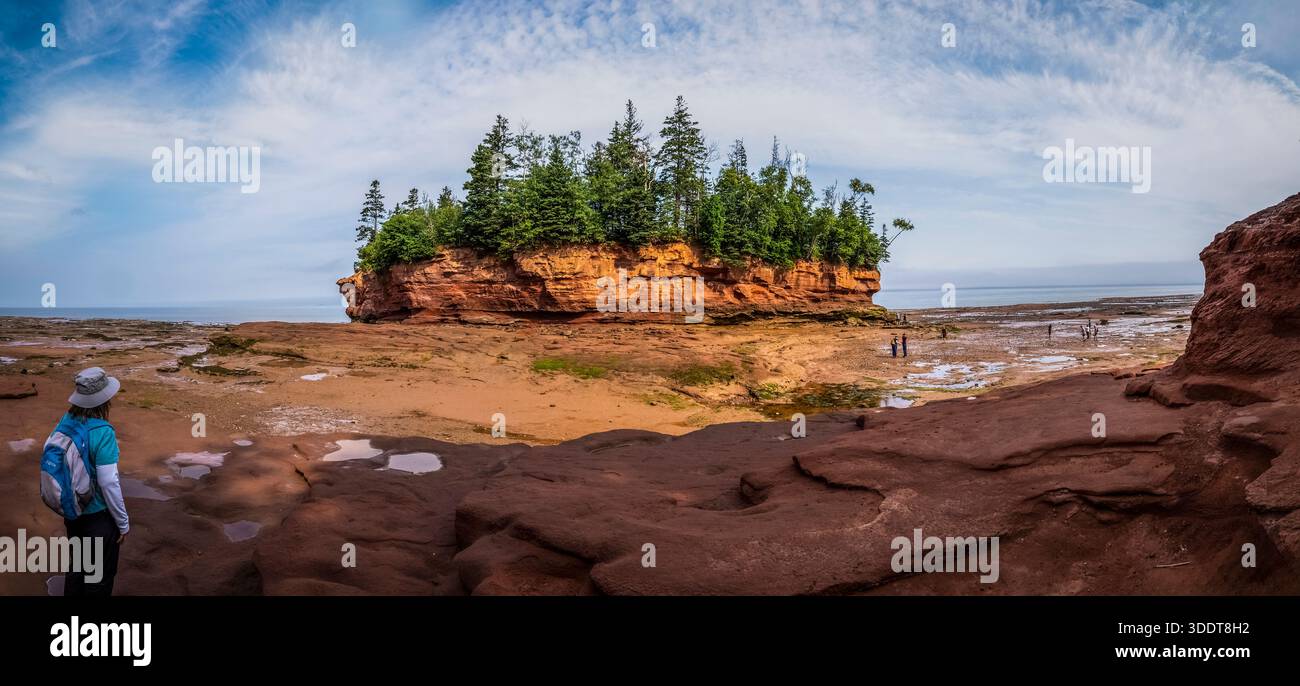 Burntcoat Head Park at low tide home of the worlds highest tides on the ...