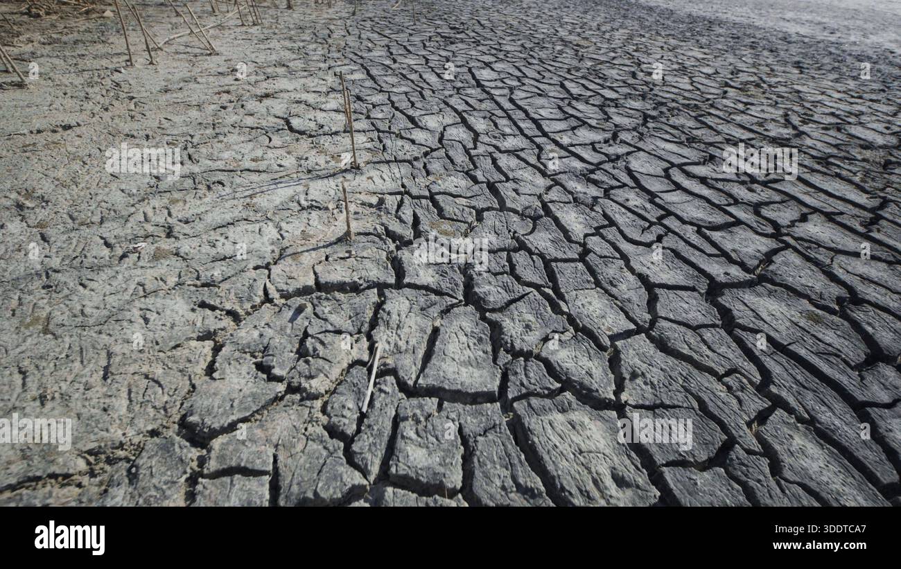 Parched ground revealing drought's harsh impact, cracked terrain ...