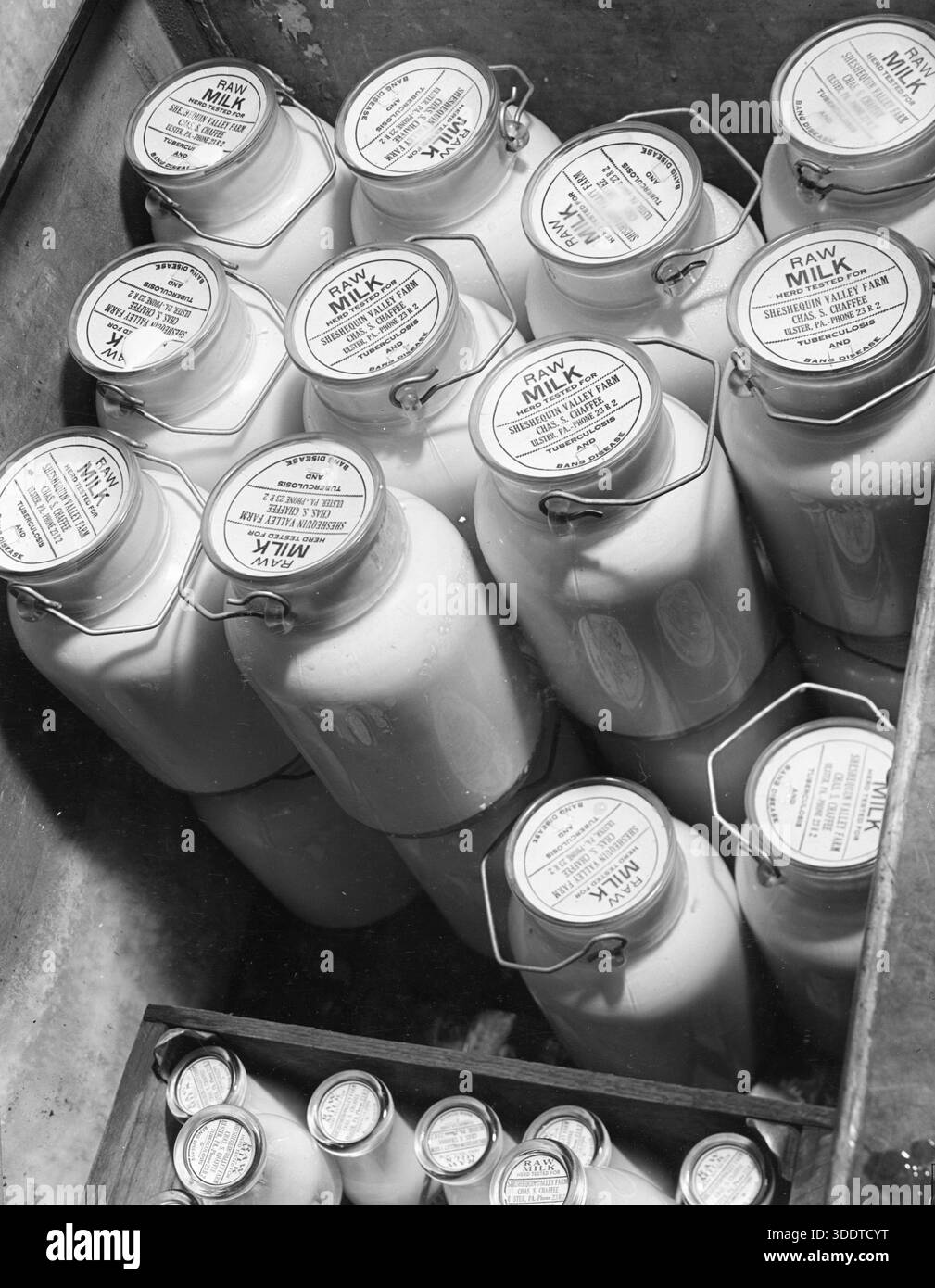 Milk products handling Black and White Stock Photos & Images - Alamy