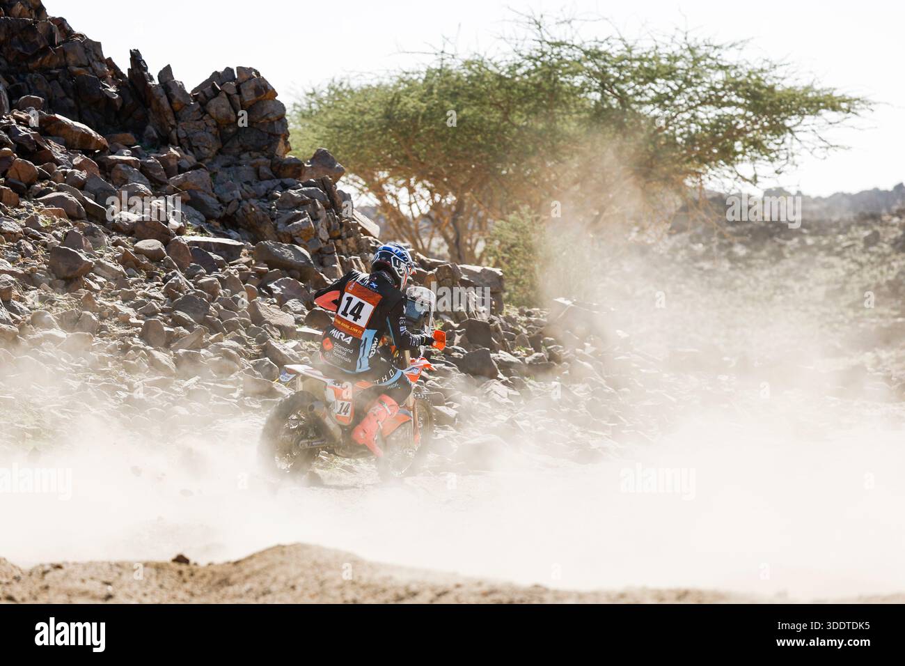 14 DOCHERTY Michael (rsa), BAS World KTM Team, KTM, Rallye 2, FIM W2RC ...