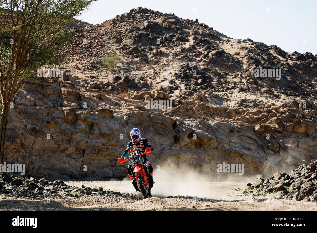 14 DOCHERTY Michael (rsa), BAS World KTM Team, KTM, Rallye 2, FIM W2RC ...