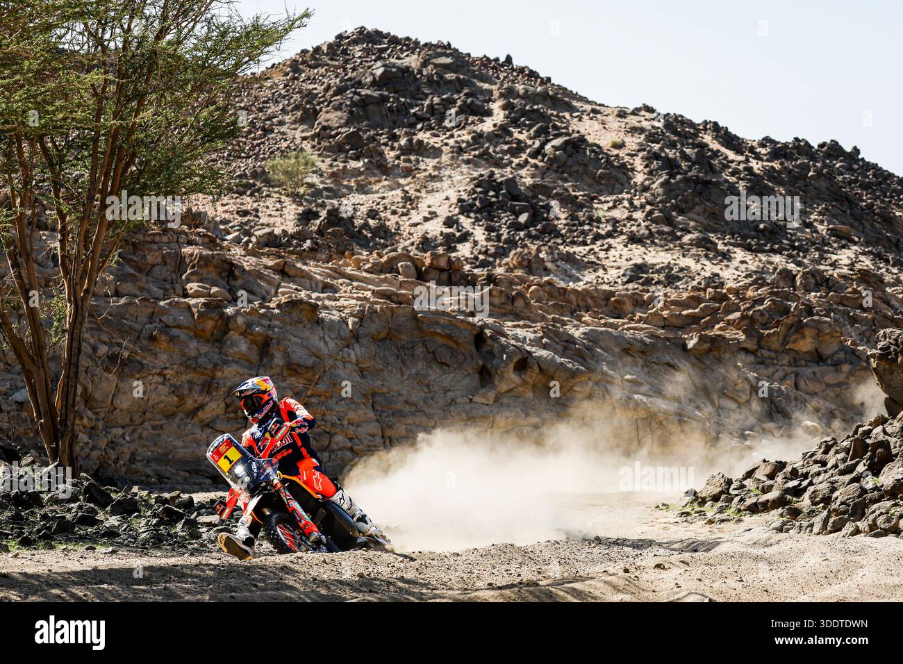 01 SANDERS Daniel (aus), Red Bull KTM Factory Racing, KTM, Rally GP ...