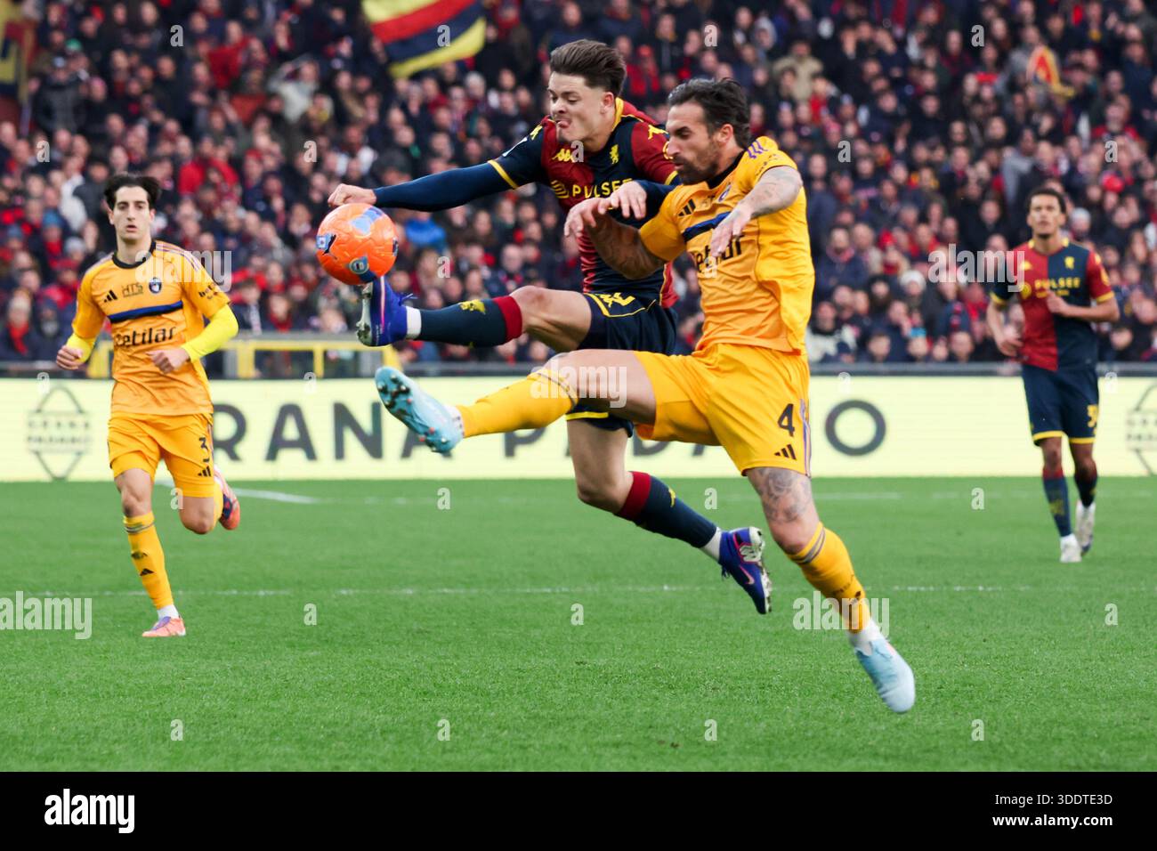 Serie A, Day 18, Stadio Ferraris, Genova, Genoa - Pisa, in the photo ...