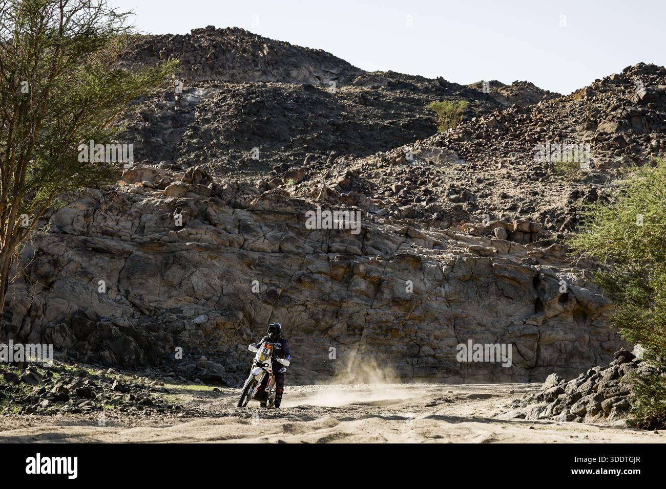 83 AL HAMDAN Badr (ksa), Desert Storm, Kove, Rallye 2, FIM W2RC, action ...