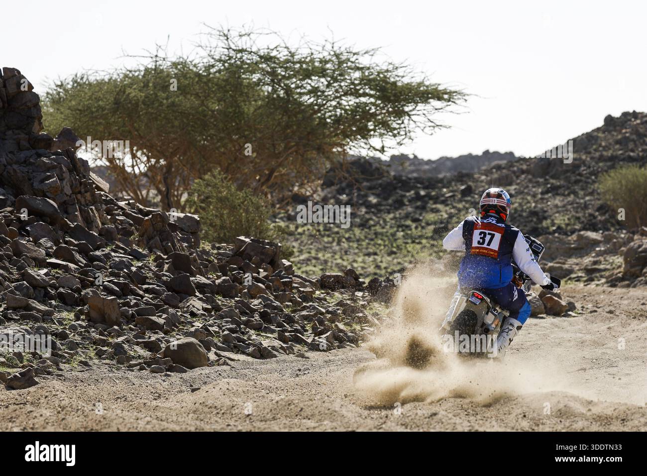 37 COLA Leonardo (arg), Joyride Race Service, KTM, Rallye 2, FIM W2RC ...