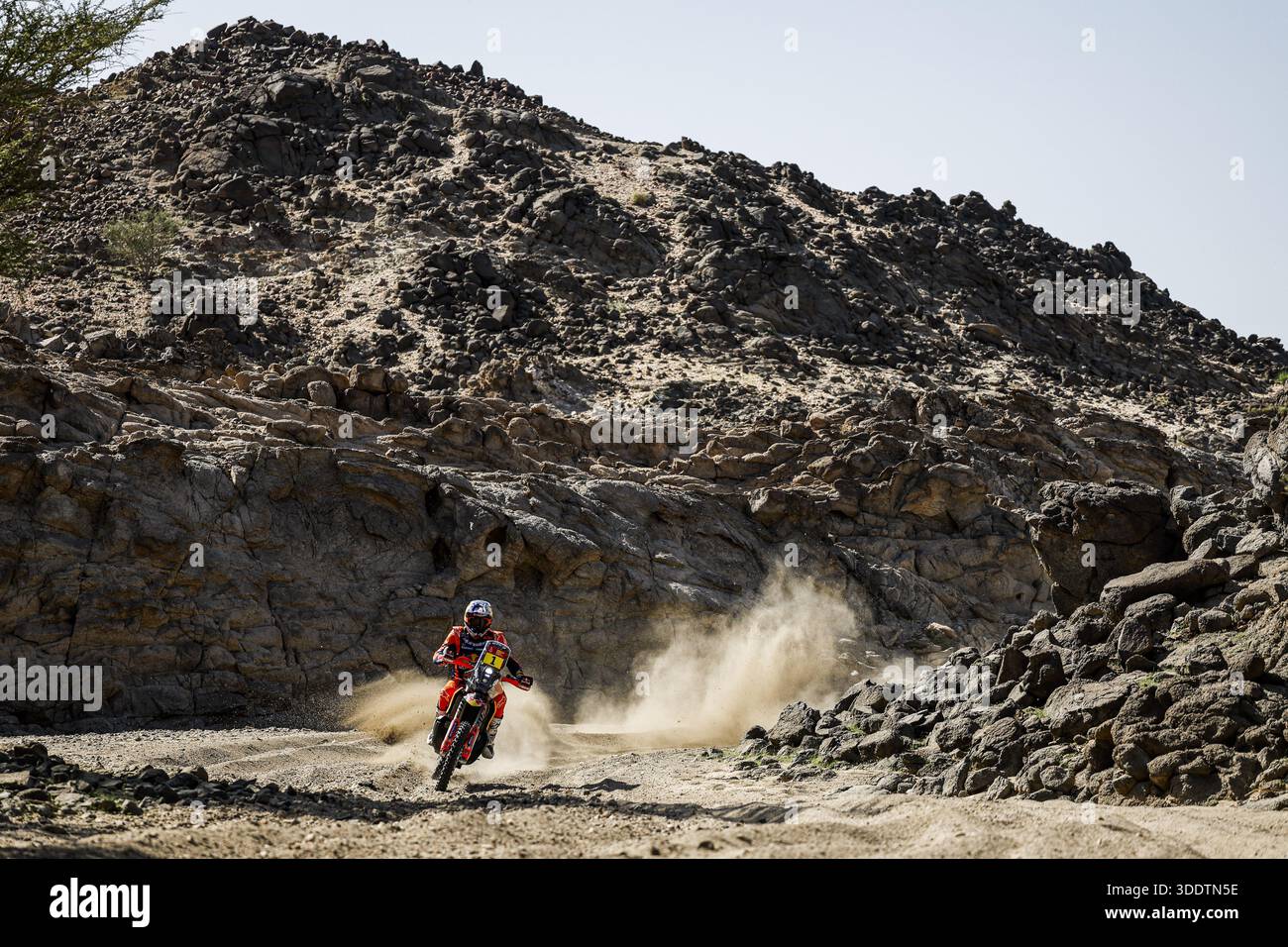 01 SANDERS Daniel (aus), Red Bull KTM Factory Racing, KTM, Rally GP ...