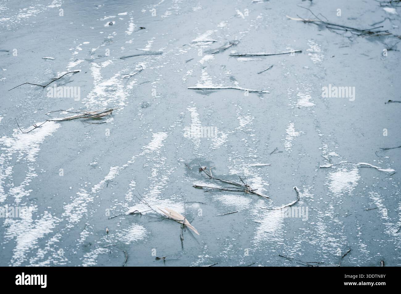 Dangerous ice. Winter, Fresh, thin layer of ice on the river, Risk of ...