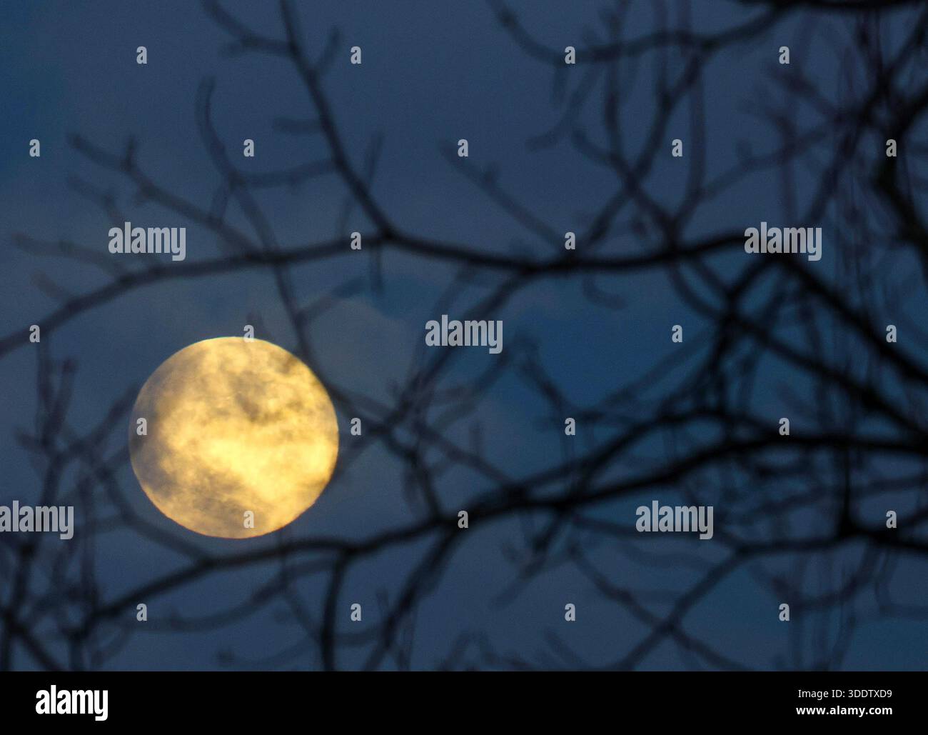 County Down, Northern Ireland, UK, 03 Jan 2026. The first full moon of ...
