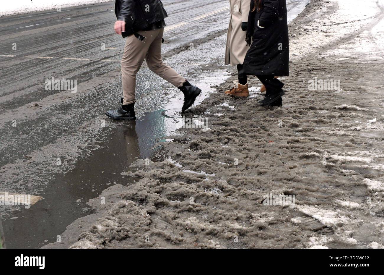 03.01.2026, Berlin - Deutschland. Auf Schnee folgt Matsch. *** 03 01 ...