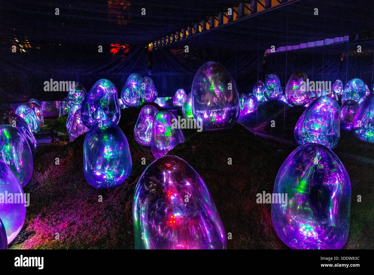 Teamlab planets moss garden hi-res stock photography and images - Alamy