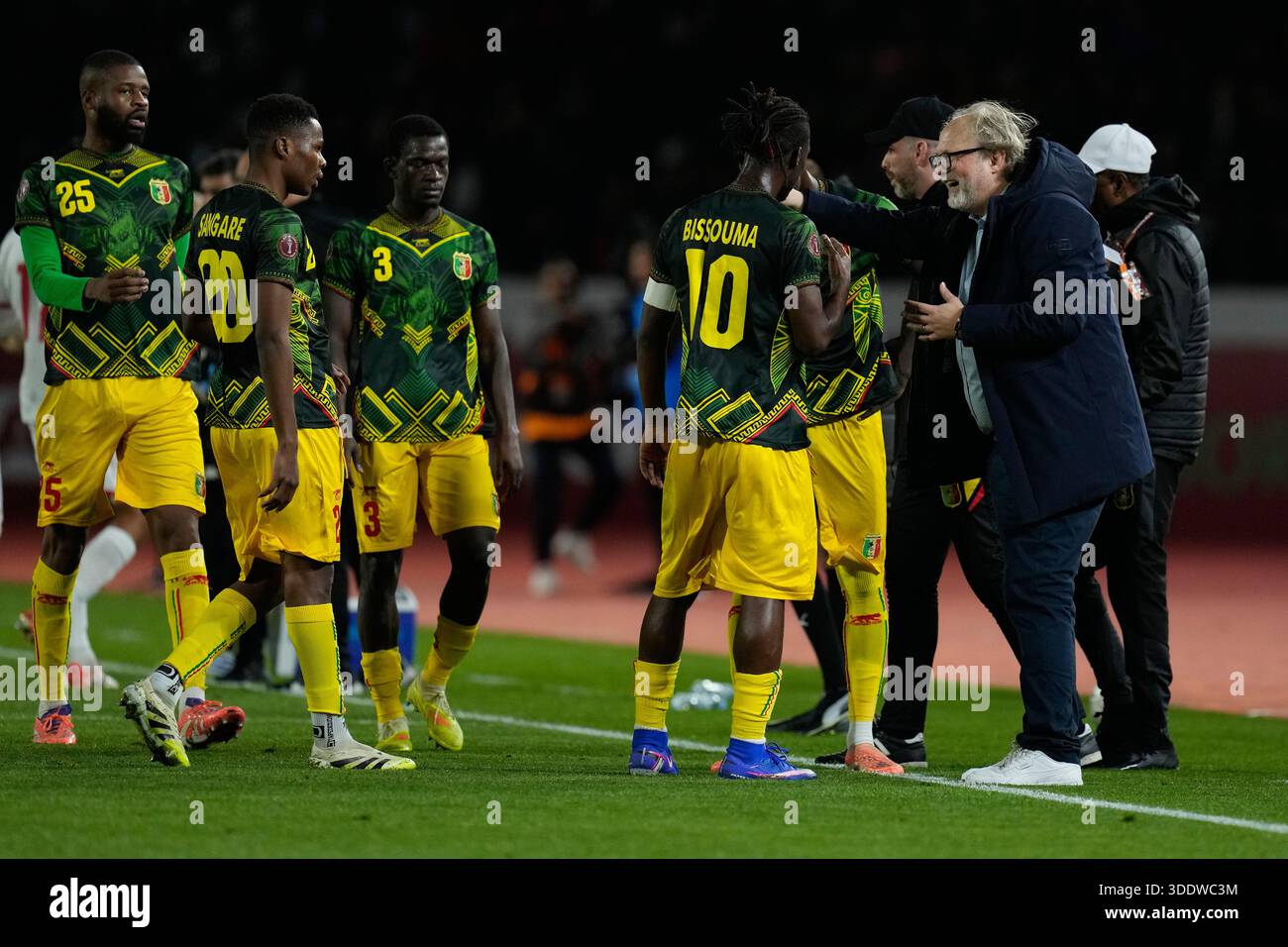 Mali's head coach Tom Saintfiet talks to players during the Africa Cup ...