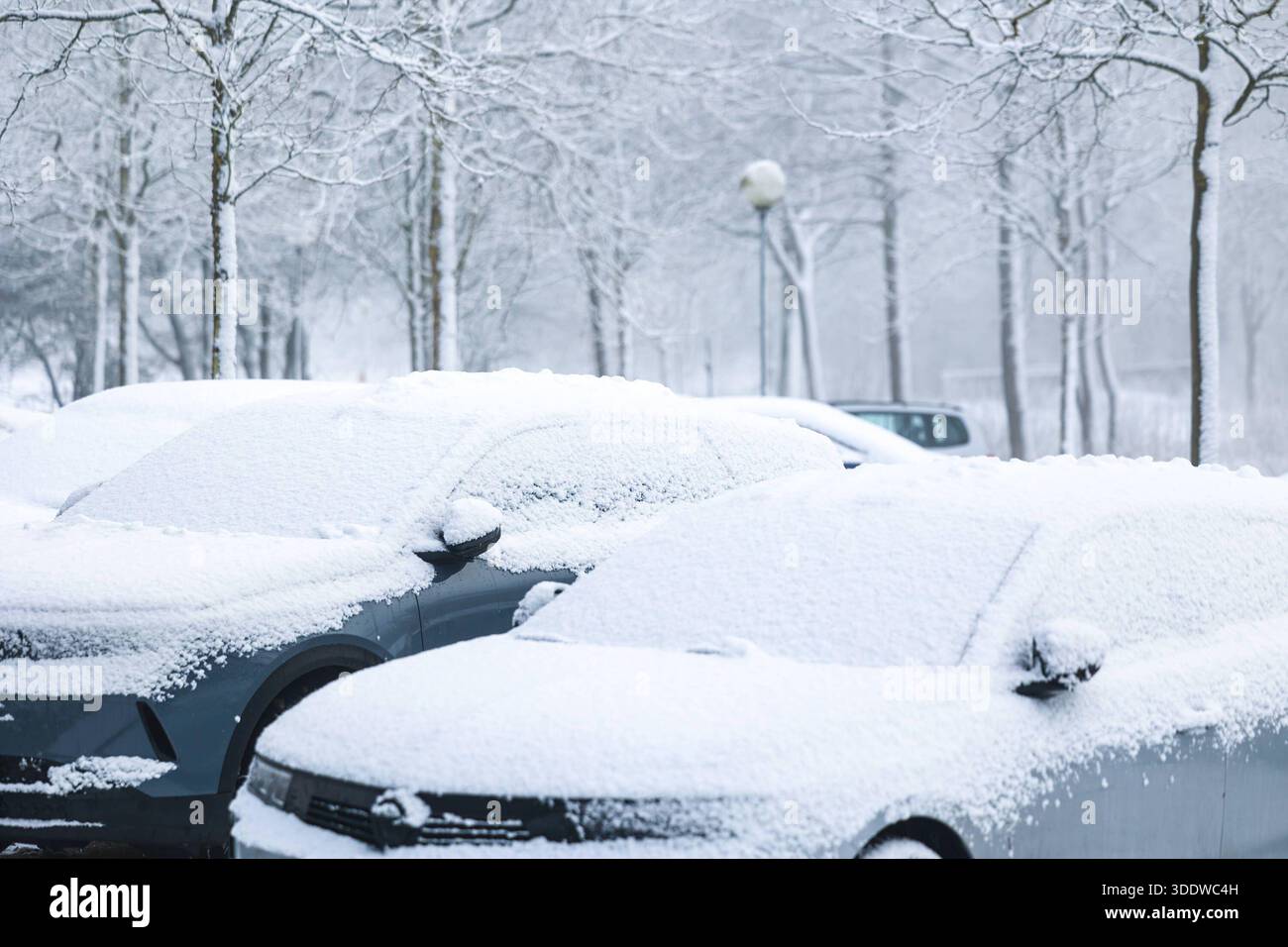 Stockbilder 01/2026 Zugeschneite Autos am Straßenrand *** Stock photos ...