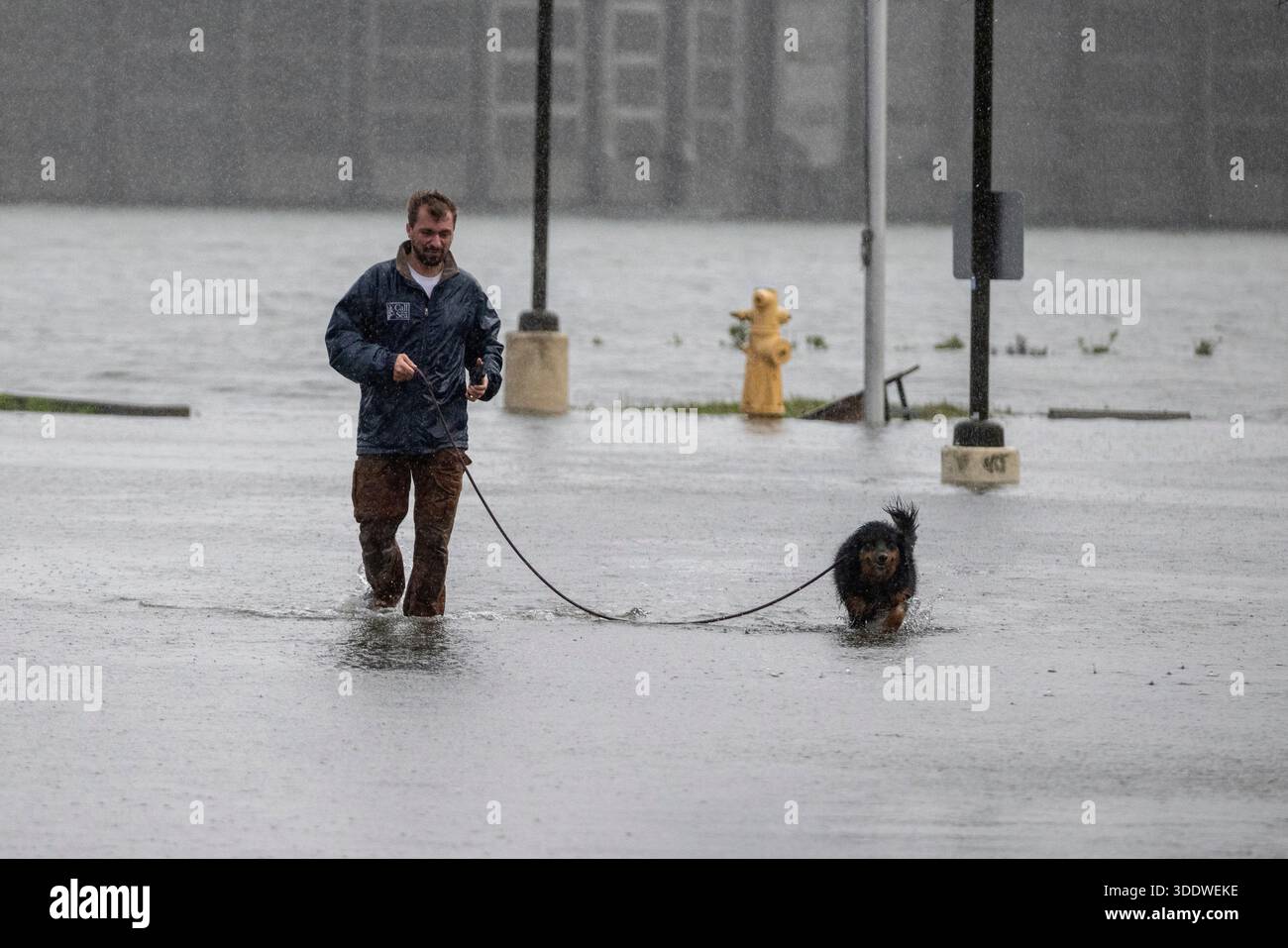 Noah Dorfman and dog Molly walks thru a flooded path during king tide ...