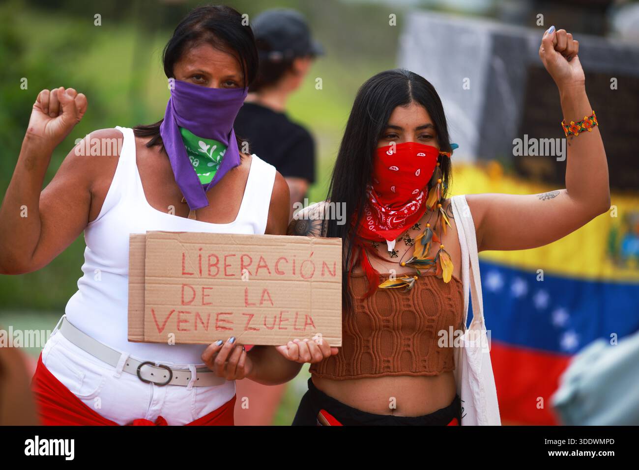 Protesters rally outside Venezuela's Embassy in Brasilia, Brazil ...