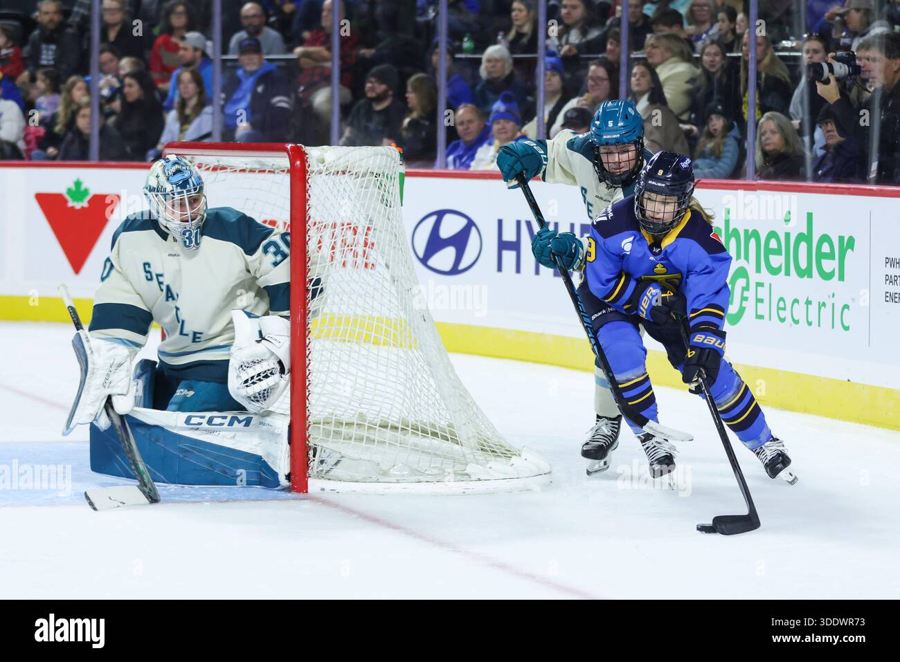 Toronto Sceptres' Daryl Watts (9) carries the puck past Seattle Torrent ...