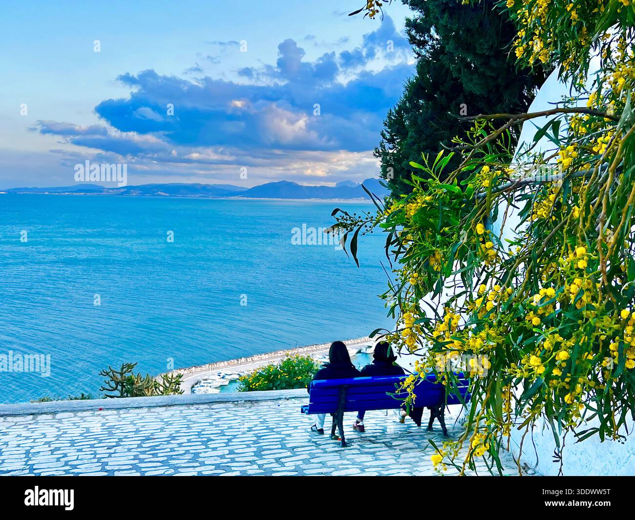 International bou hi-res stock photography and images - Alamy