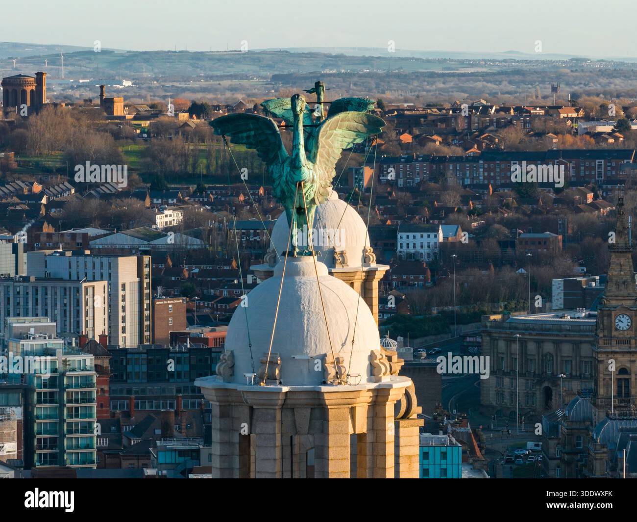 Royal liver building domes hi-res stock photography and images - Alamy