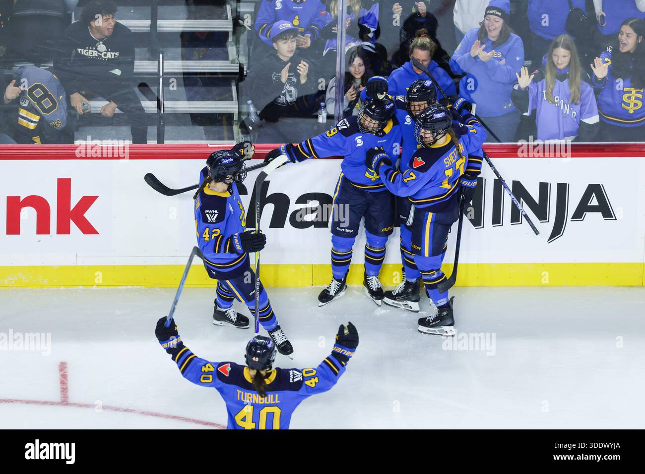Toronto Sceptres teammates celebrate a goal against the Seattle Torrent ...